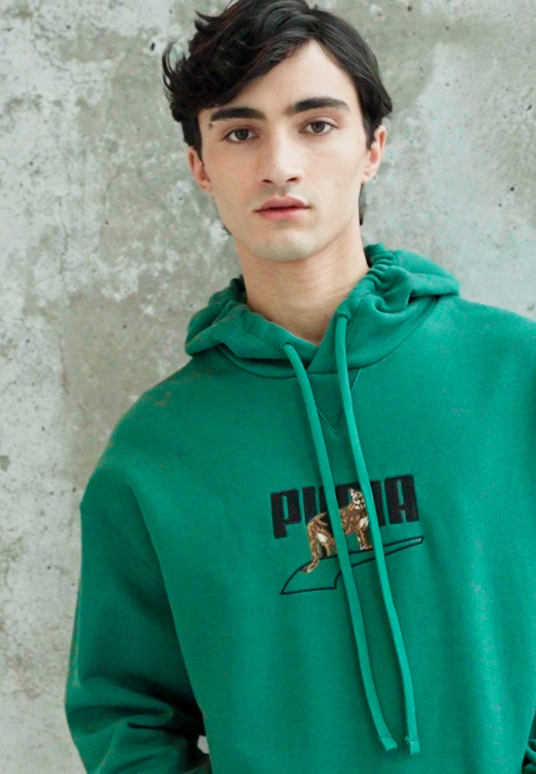 Puma DOWNTOWN GRAPHIC HOODIE - Sweatshirt - green/grün - Zalando.ch
