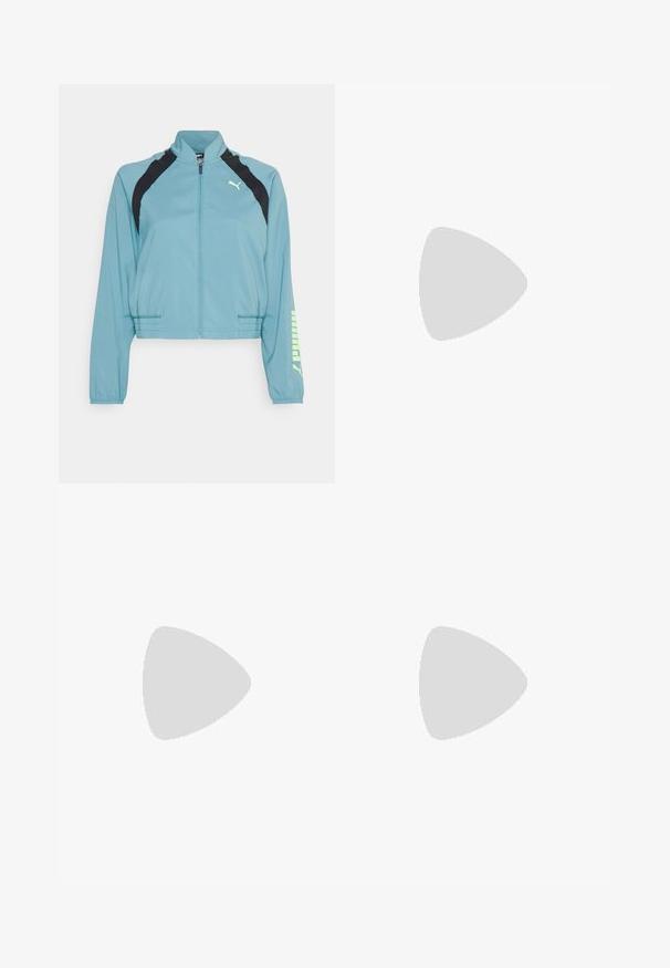 Puma METALLIC LOGO TEE - Camiseta estampada - black/gold foil/negro ...